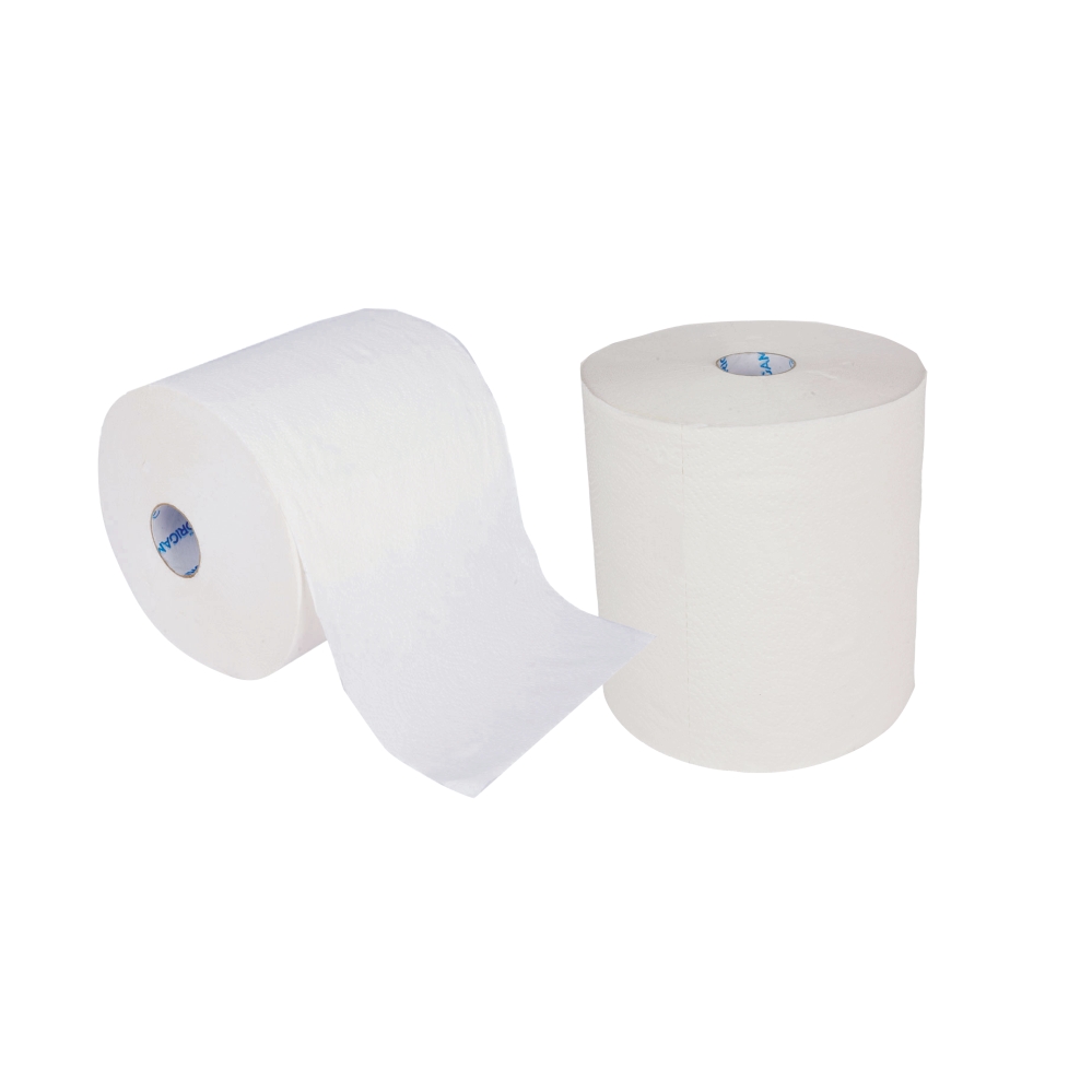 Maxi Roll Tissue 2ply Embossed, 1X6 Rolls – Galeno :: Bringing Nature