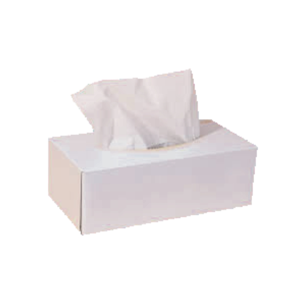 Maxi Roll Tissue 2ply Embossed, 1X6 Rolls – Galeno :: Bringing Nature